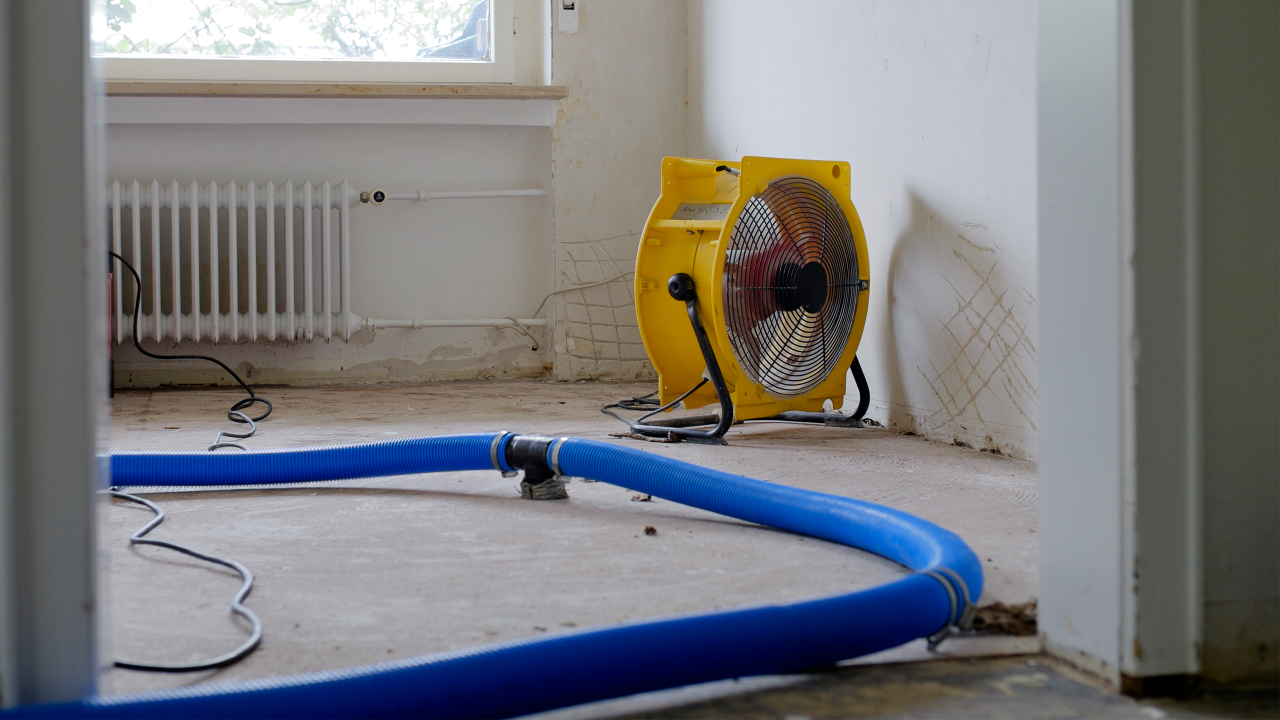 Leak and Freeze Detection